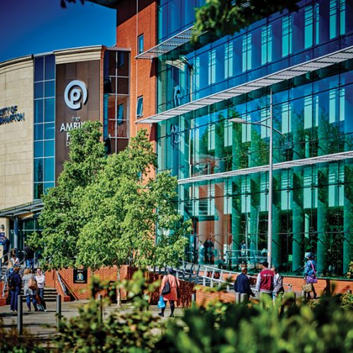 Home - TPS Transport Consultants Ltd